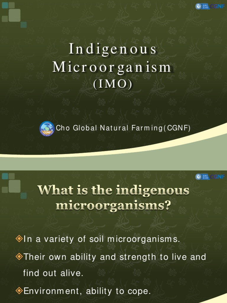 DR Hoon Park III - Indigenous Microorganism (IMO) | PDF | Rice | Soil
