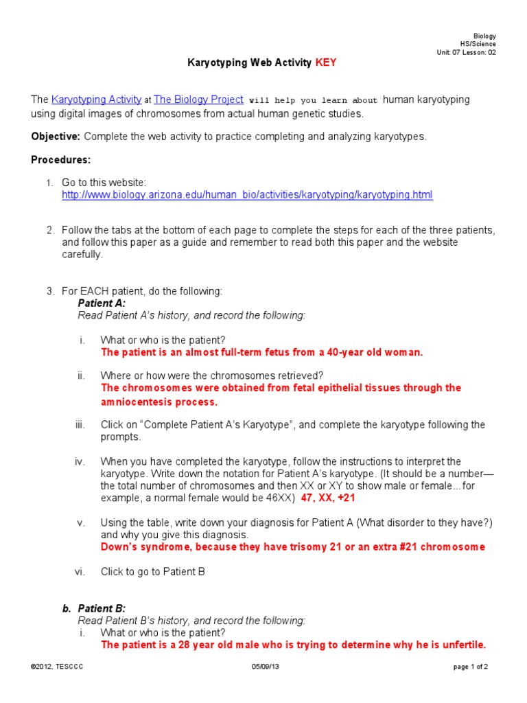 Karyotyping Activity Answer Key | PDF | Karyotype | Anatomy
