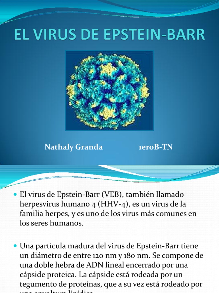 El Virus de Epstein-barr | Virus | Inmunología