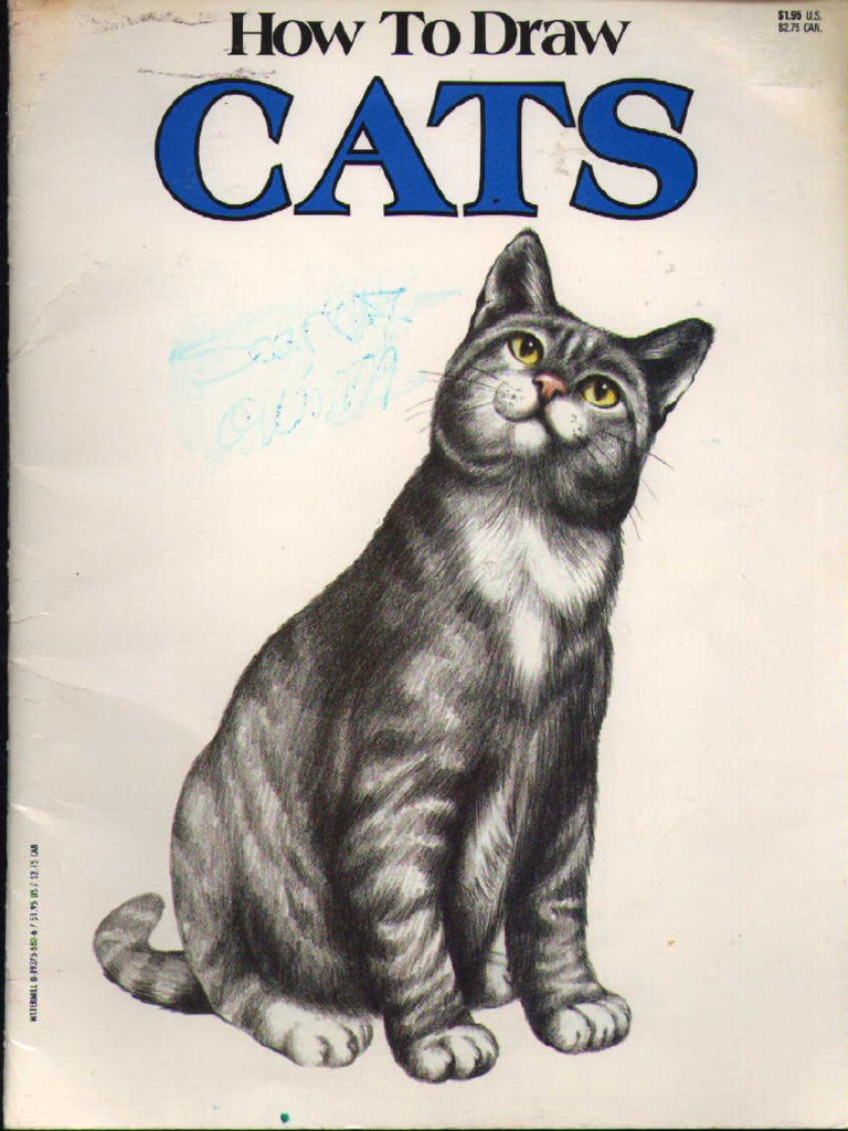 How To Draw Cats | PDF | Foreign Language Studies