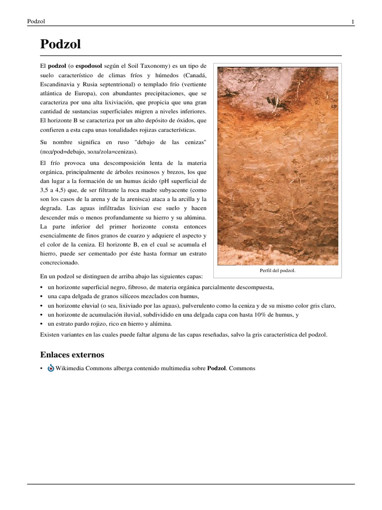 Características del Suelo Podzol | PDF | Edificio sustentable | Paisaje