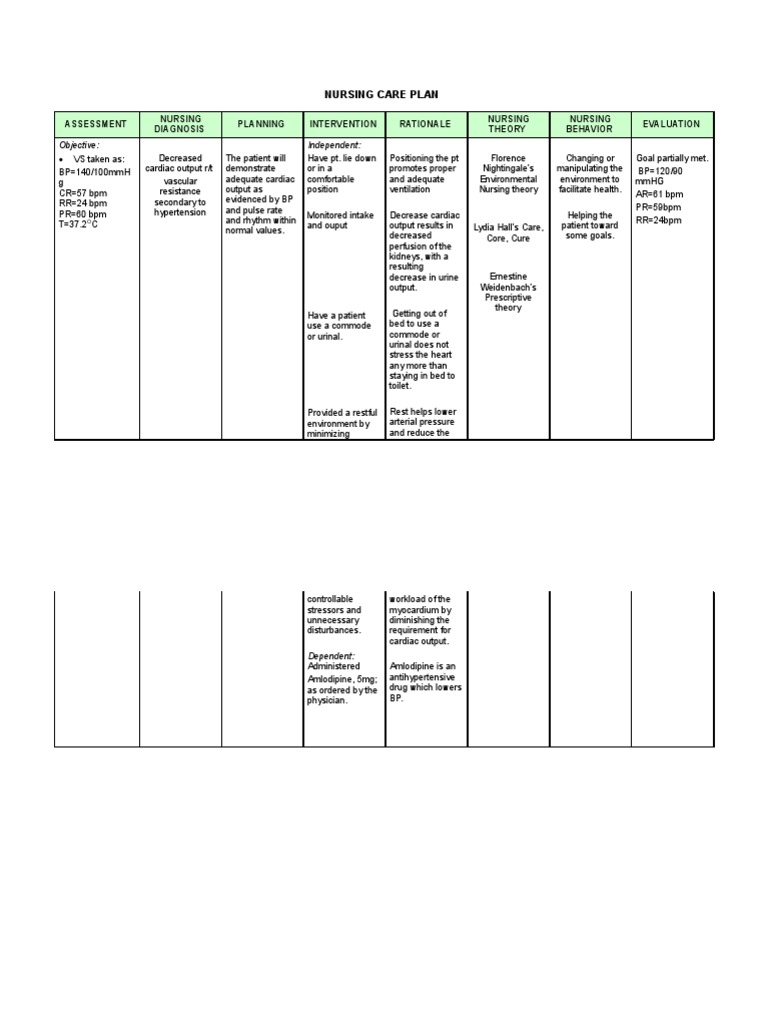 Nursing Care Plan | Nursing | Sleep