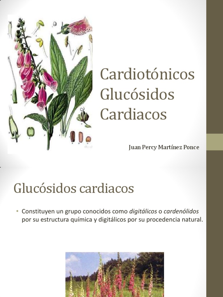 digitálicos | Farmacología | Medicina CLINICA