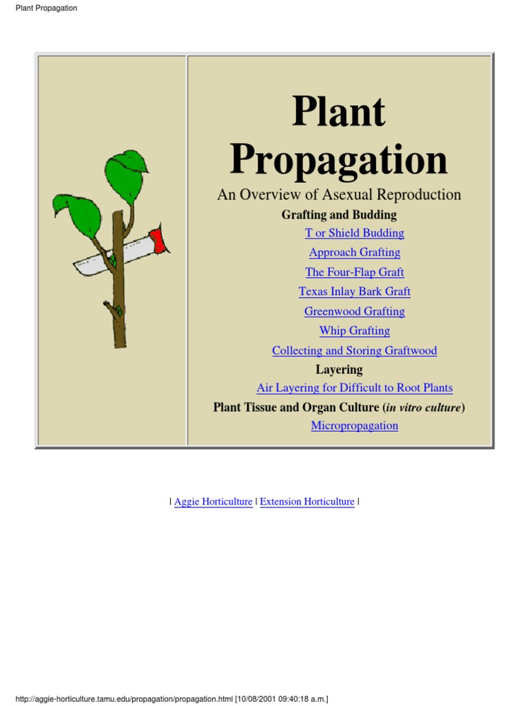 Plant Propagation: An Overview of Asexual Reproduction | PDF | Grafting ...