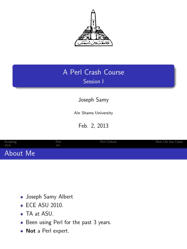 A Perl Crash Course Pdf Regular Expression Control Flow 
