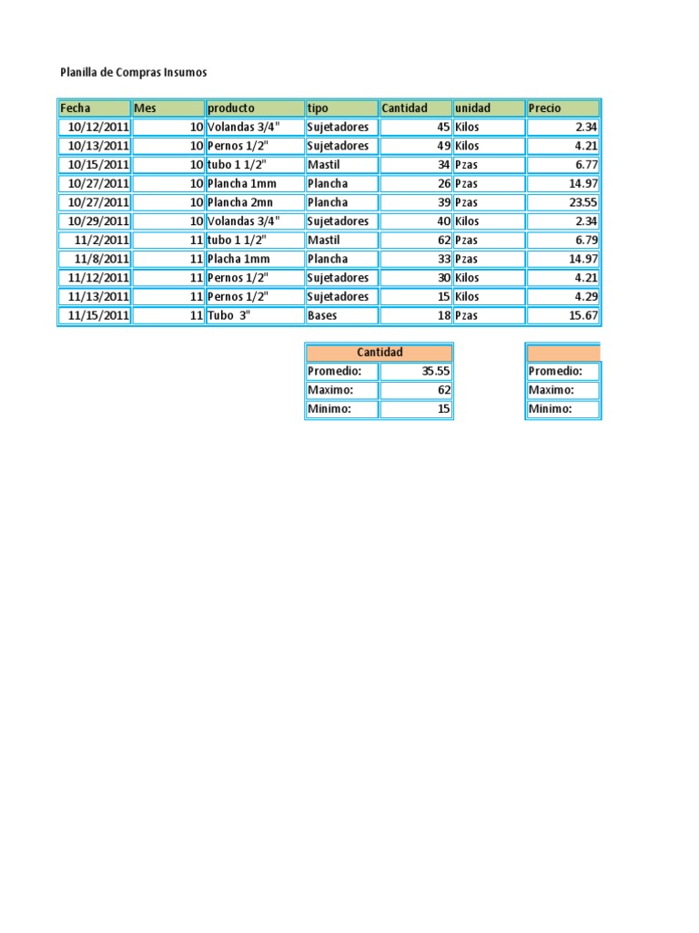 Planilla de Compras de Insumo | PDF | Hogar, jardinería y bricolaje