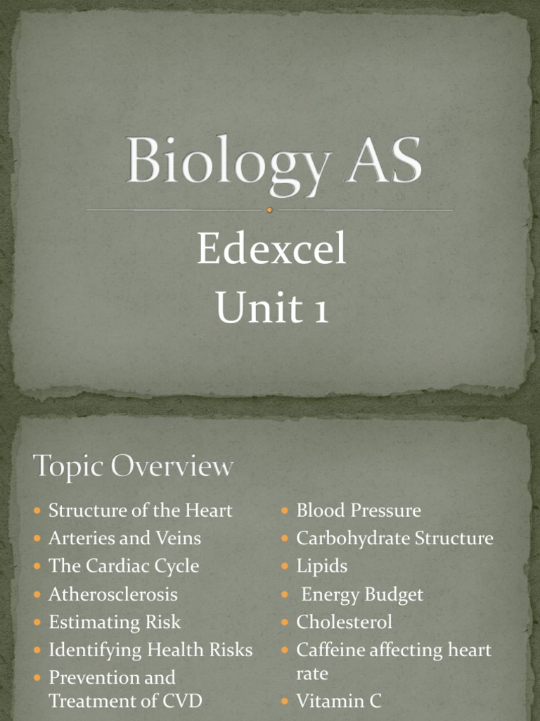 Edexcel As Level Biology Revision Powerpoint Unit 1 | PDF | Glucose ...