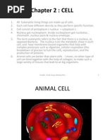 Cell Riddles Answer Key | PDF | Cell (Biology) | Endoplasmic Reticulum