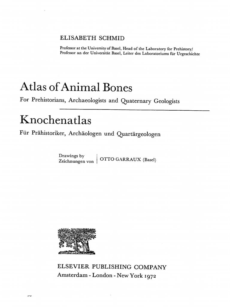 Atlas of Animal Bones | PDF