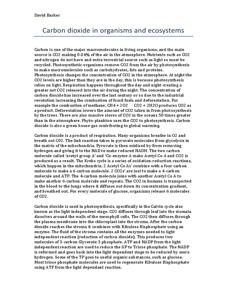 Carbon Dioxide in Organisms and Ecosystems Essay | PDF | Carbon Dioxide ...