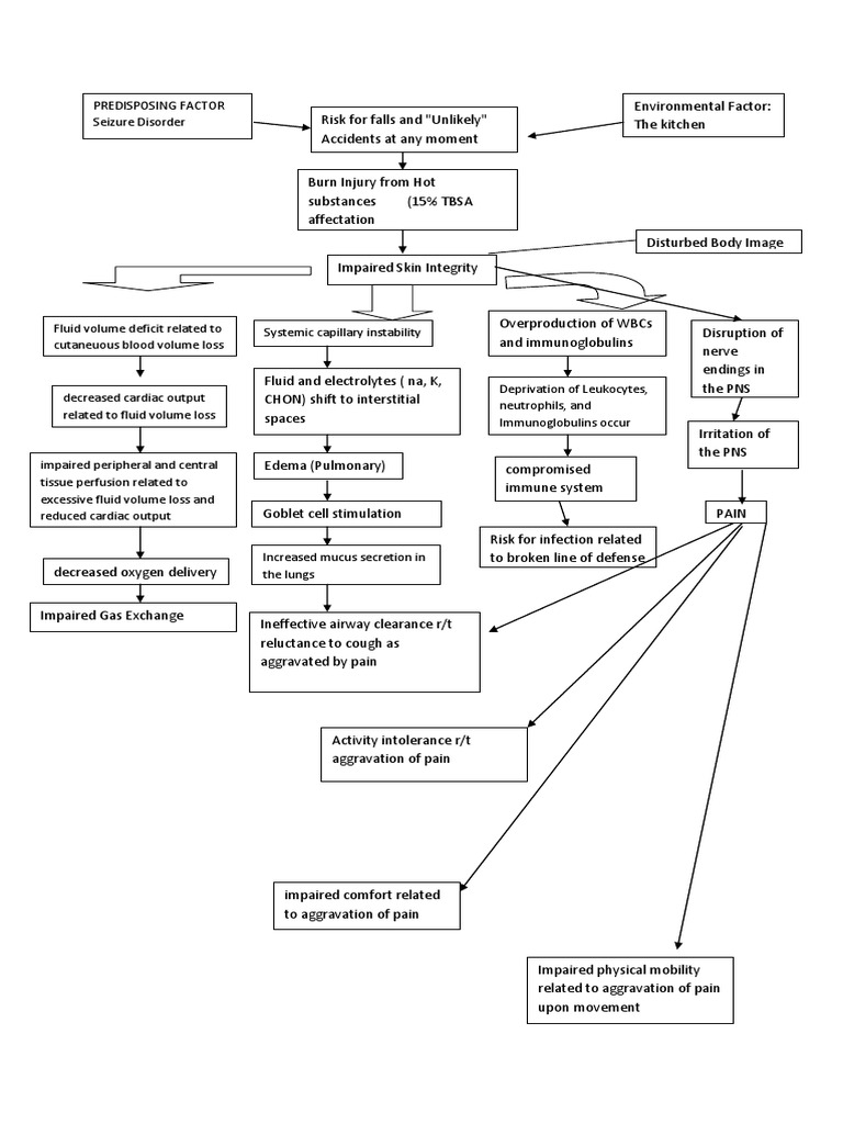 Burn Injury Pathophysiology | PDF | Lung | Burn