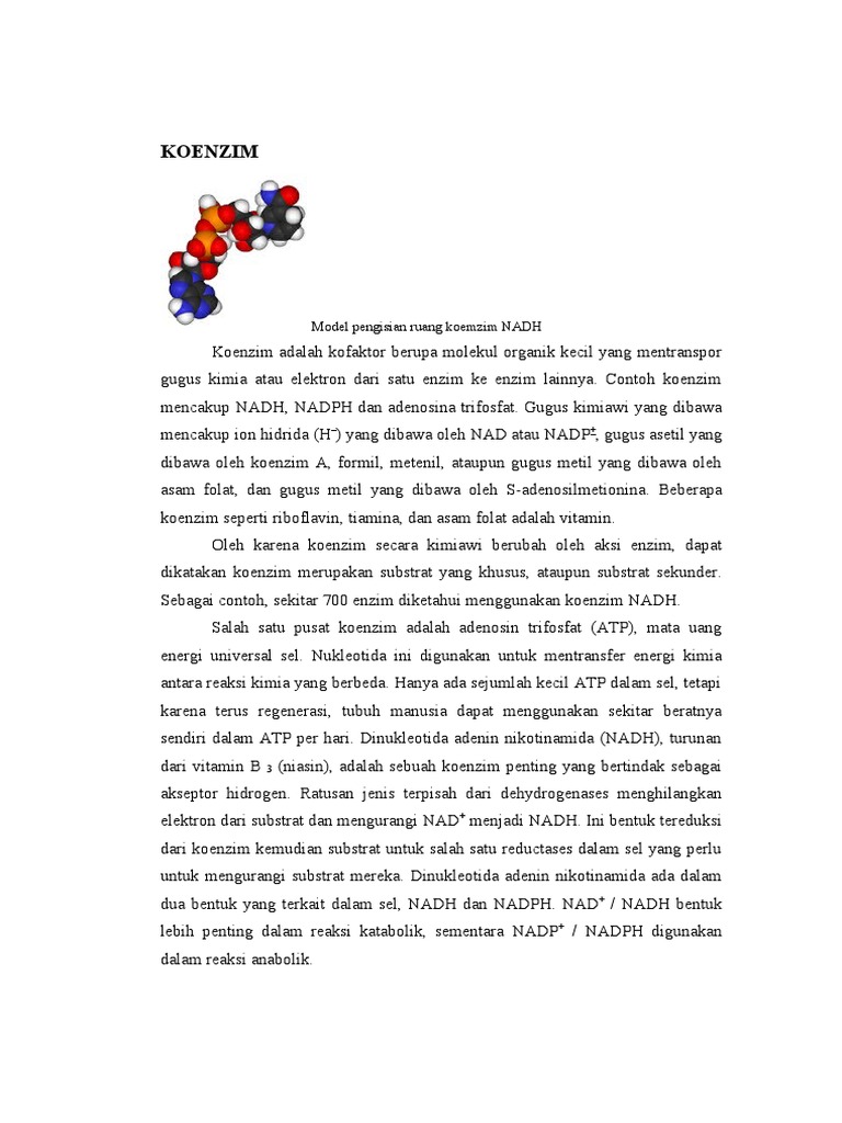 Koenzim Dan Kofaktor | PDF
