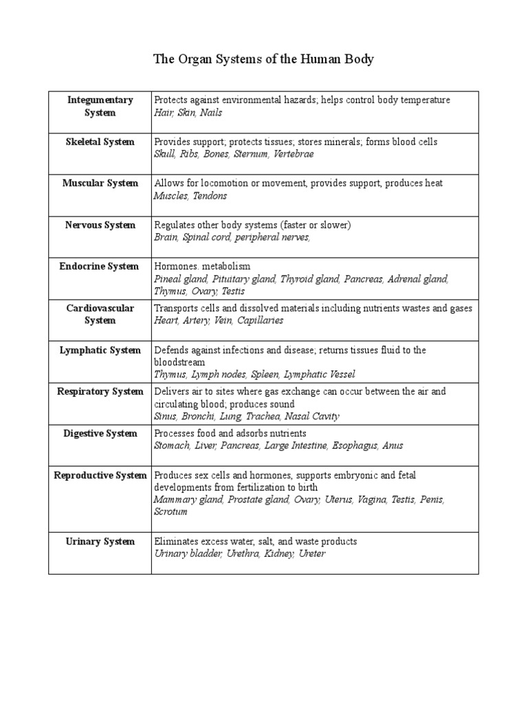 Overview of Human Body Organ Systems | PDF | Home & Garden | Wellness