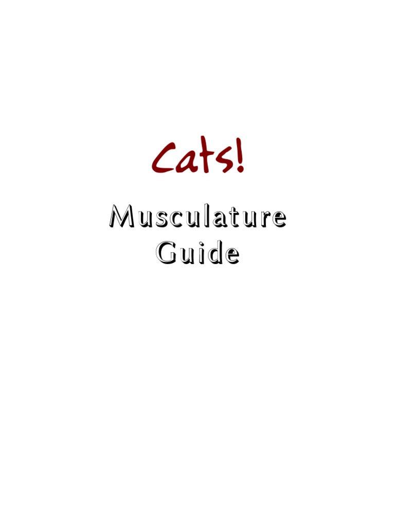 Skeletal Muscles Dissection | PDF | Arm | Abdomen