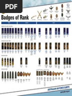 AAFC Badges of Rank