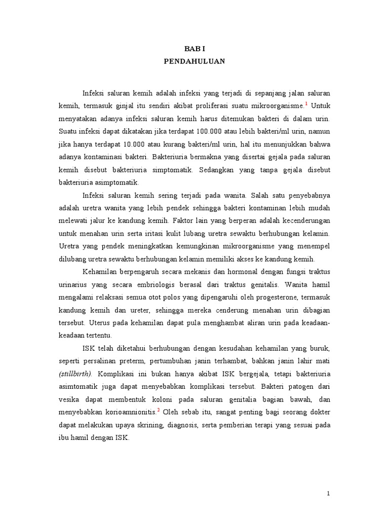 Isk-Kehamilan Back Up | PDF