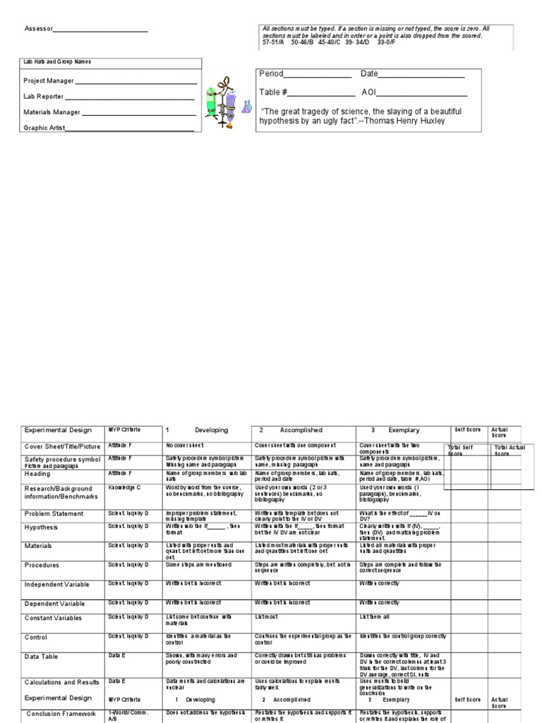 Mrs Roldan Lab Rubric | PDF | Computing | Computing And Information ...