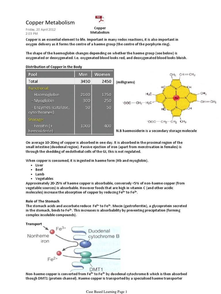 Copper Metabolism: Distribution of Copper in The Body | PDF | Anemia ...