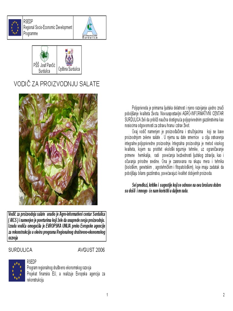 Salata | PDF