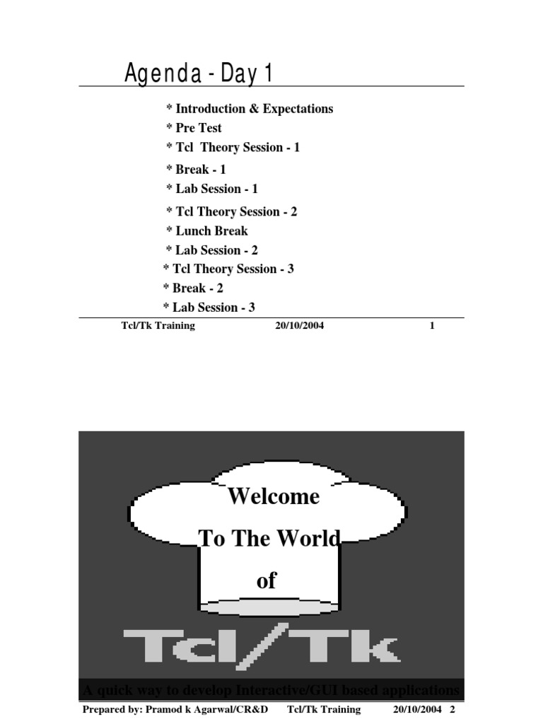 TCL (Tool Command Language) | PDF | Command Line Interface | Graphical User Interfaces