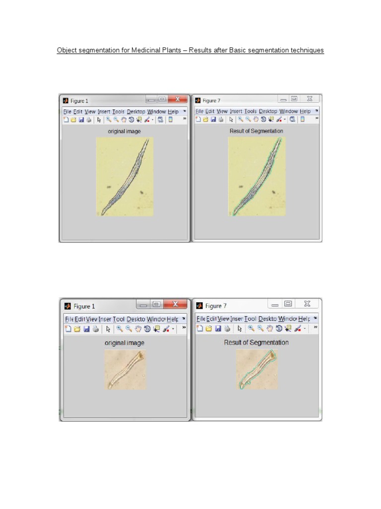 Object Segmentation in Medicinal Plants | PDF | Computers