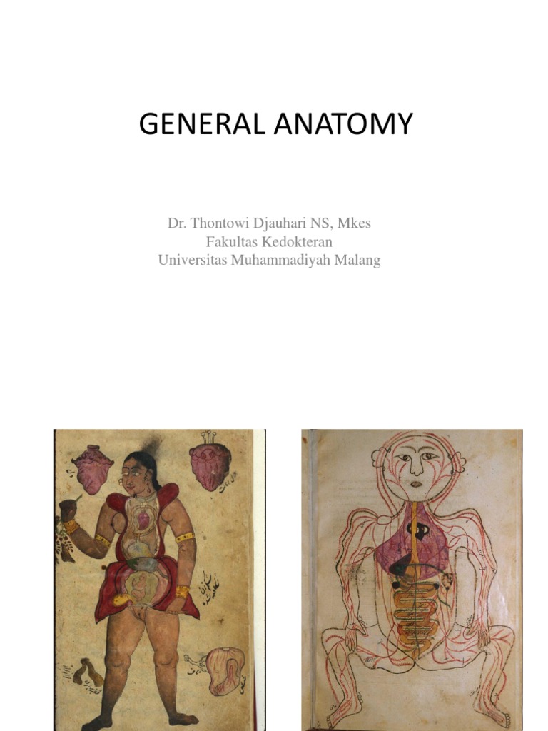 General Anatomy | PDF | Homeostasis | Feedback