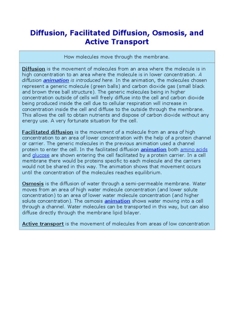 A Comprehensive Overview of the Four Main Mechanisms of Molecular Transport Across Cell ...