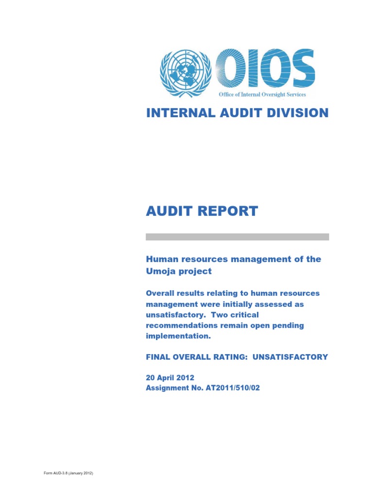 HR Audit Report | PDF | Audit | Project Management