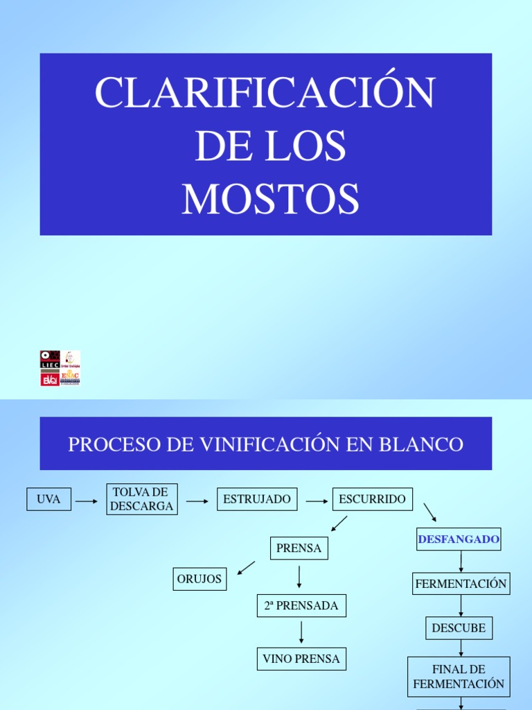 Desfangado del Vino: Proceso y Beneficios | PDF | Hogar, jardinería y ...