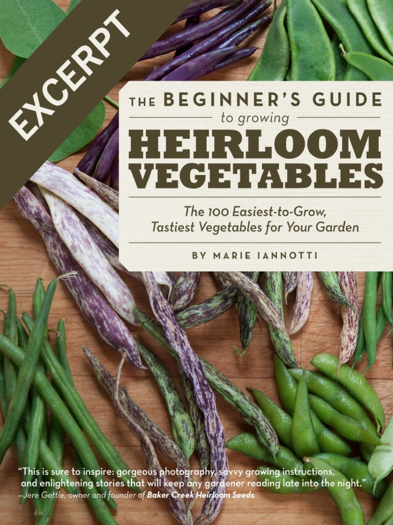 Heirloom Vegetables: A Gardener's Guide | PDF | Heirloom Plant | Tomato