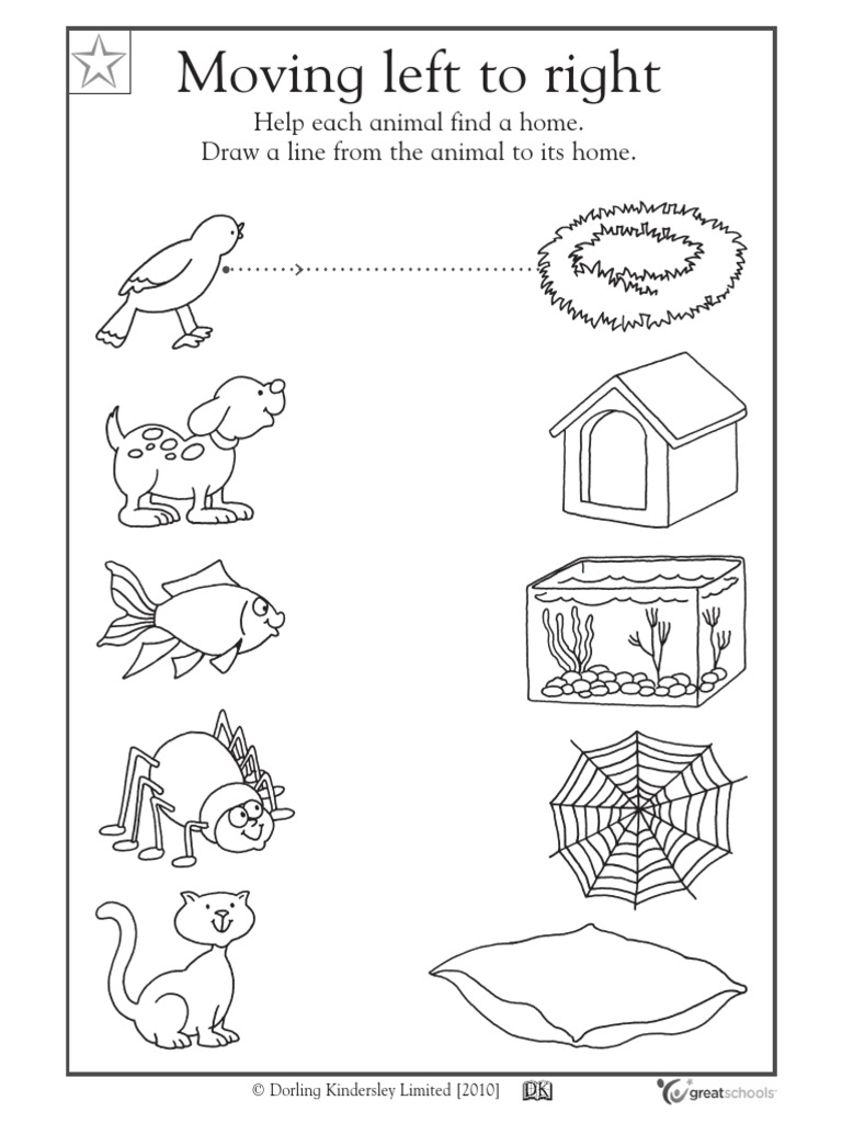 Animals Worksheets For Kindergarten