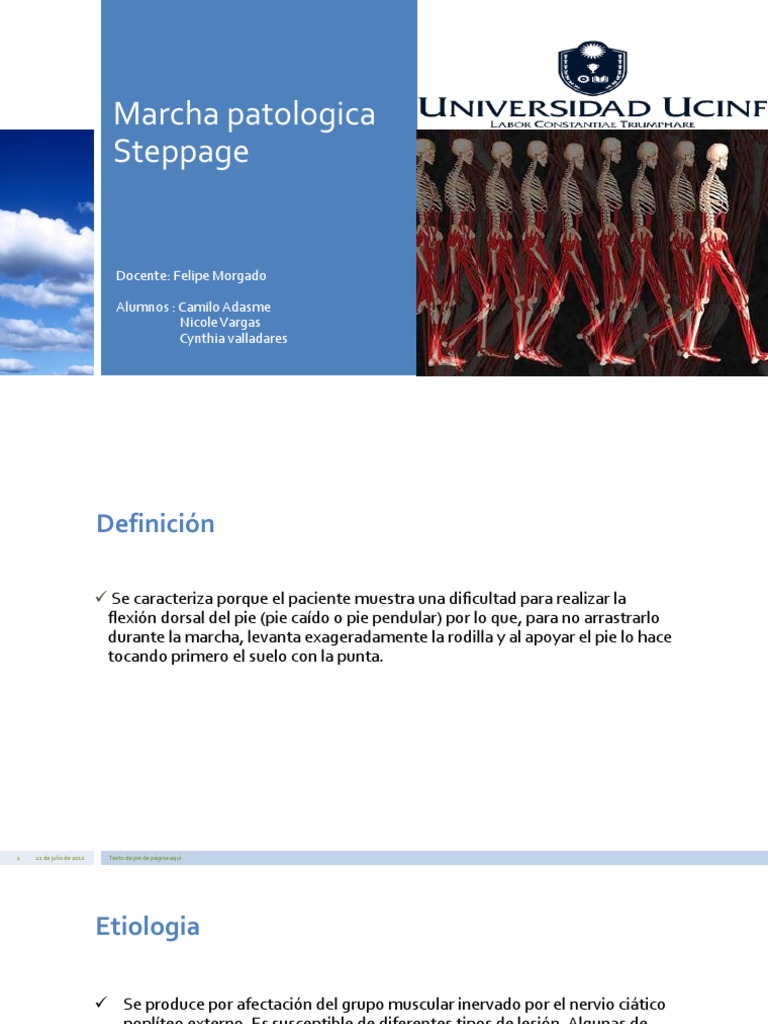Marcha Steppage: Características y Causas | PDF | Pie | Rodilla