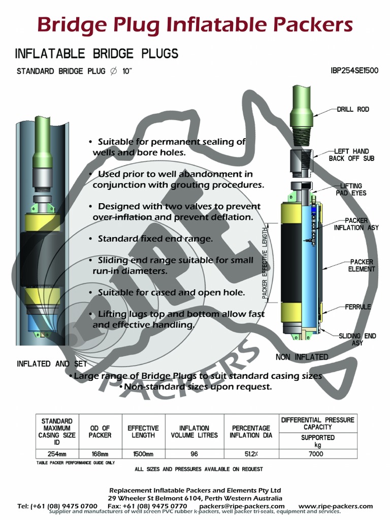 10 Bridge Plug Metric | PDF