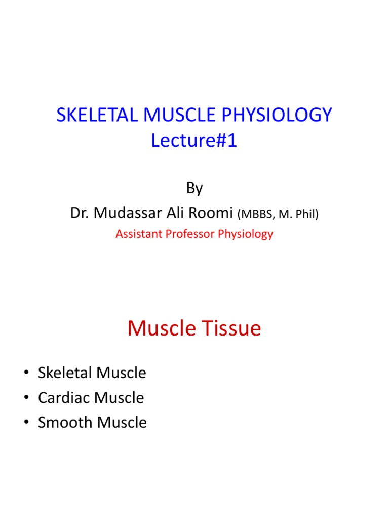 Skeletal Muscle Physiology Overview | PDF | Muscle Contraction | Actin