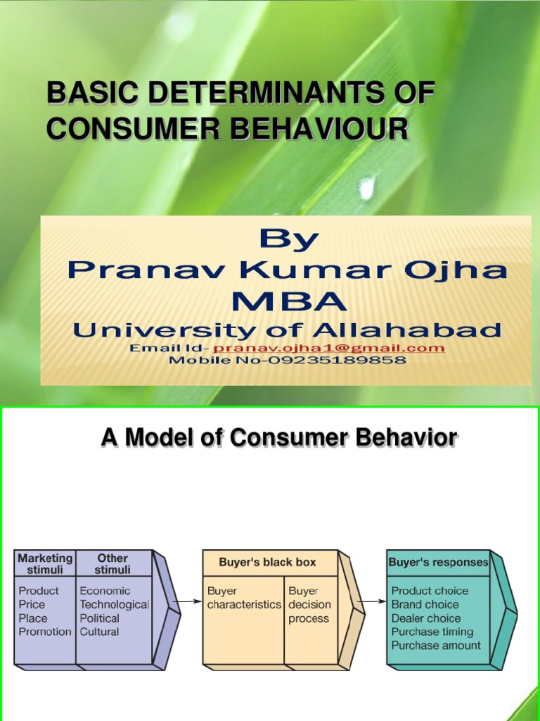 Basic Determinants of Consumer Behaviour | PDF