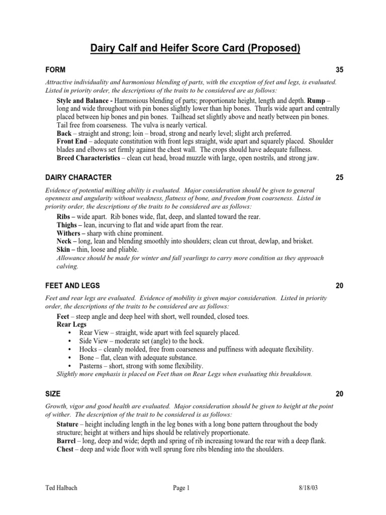 Heifer Scorecard | PDF | Calf | Cattle