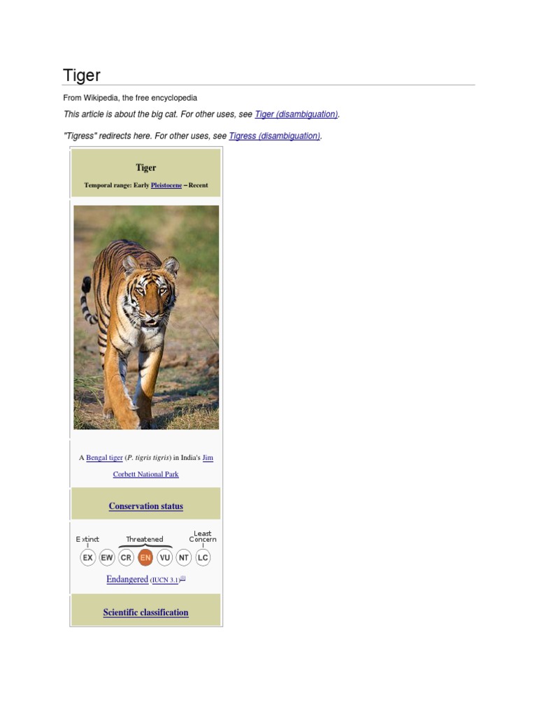 Tiger: This Article Is About The Big Cat. For Other Uses, See ...