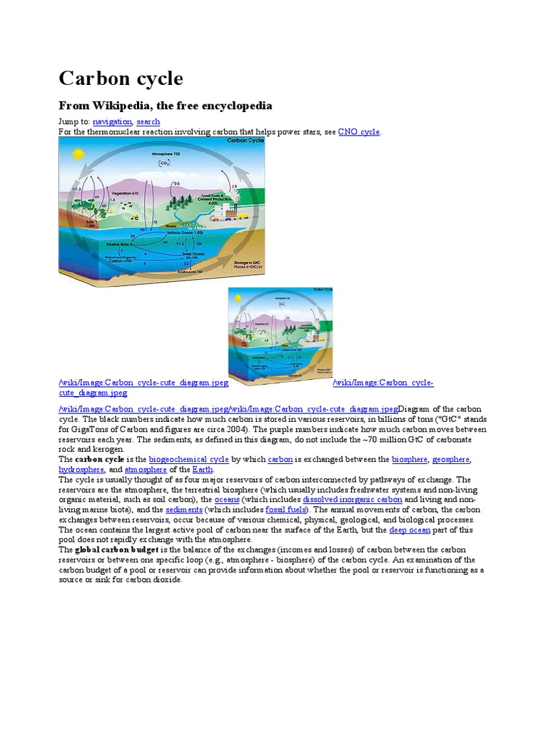 Carbon Cycle: From Wikipedia, The Free Encyclopedia | PDF | Carbon ...