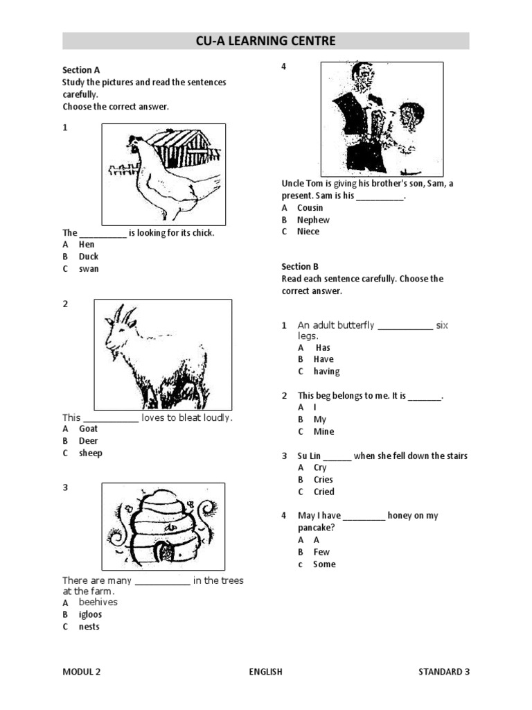 English Standard 3 | PDF | Cupcake | Foods