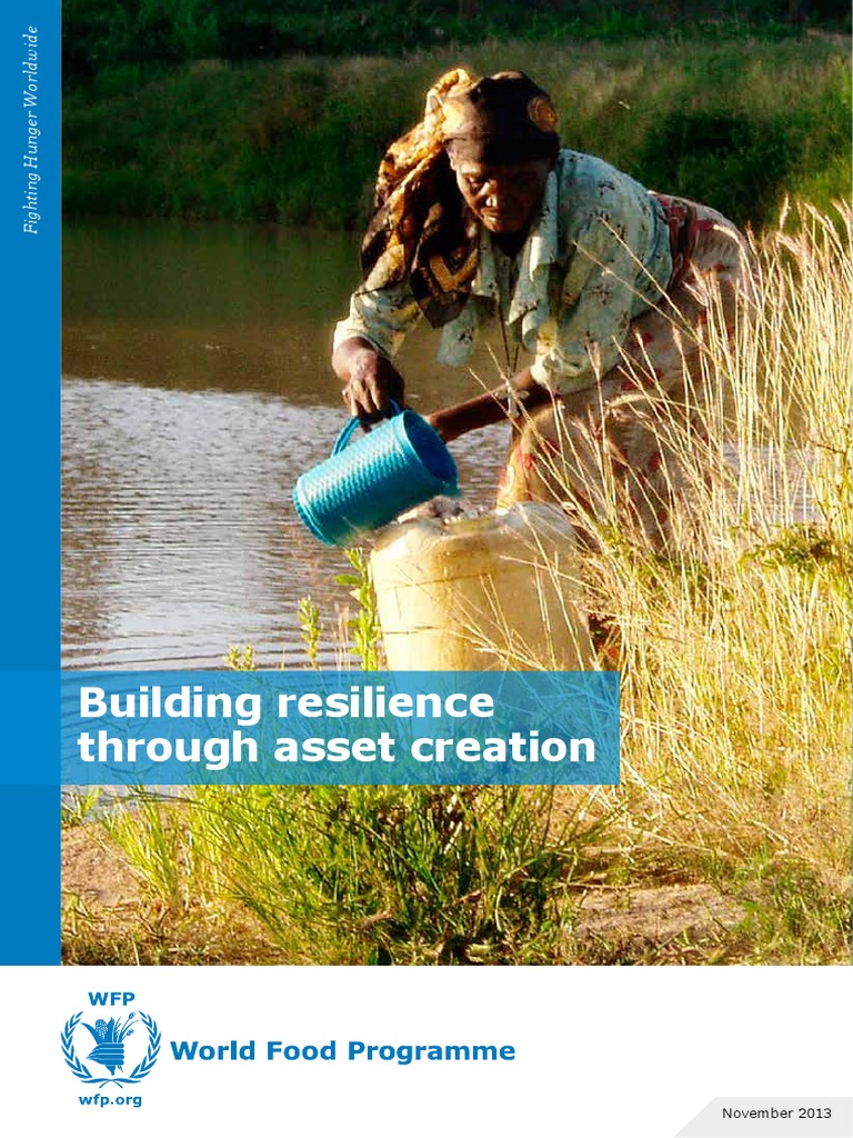 WFP - Building Resilience Through Asset Creation | PDF | Food Security ...