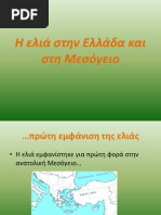 ιστορία της συγνώμης | PDF