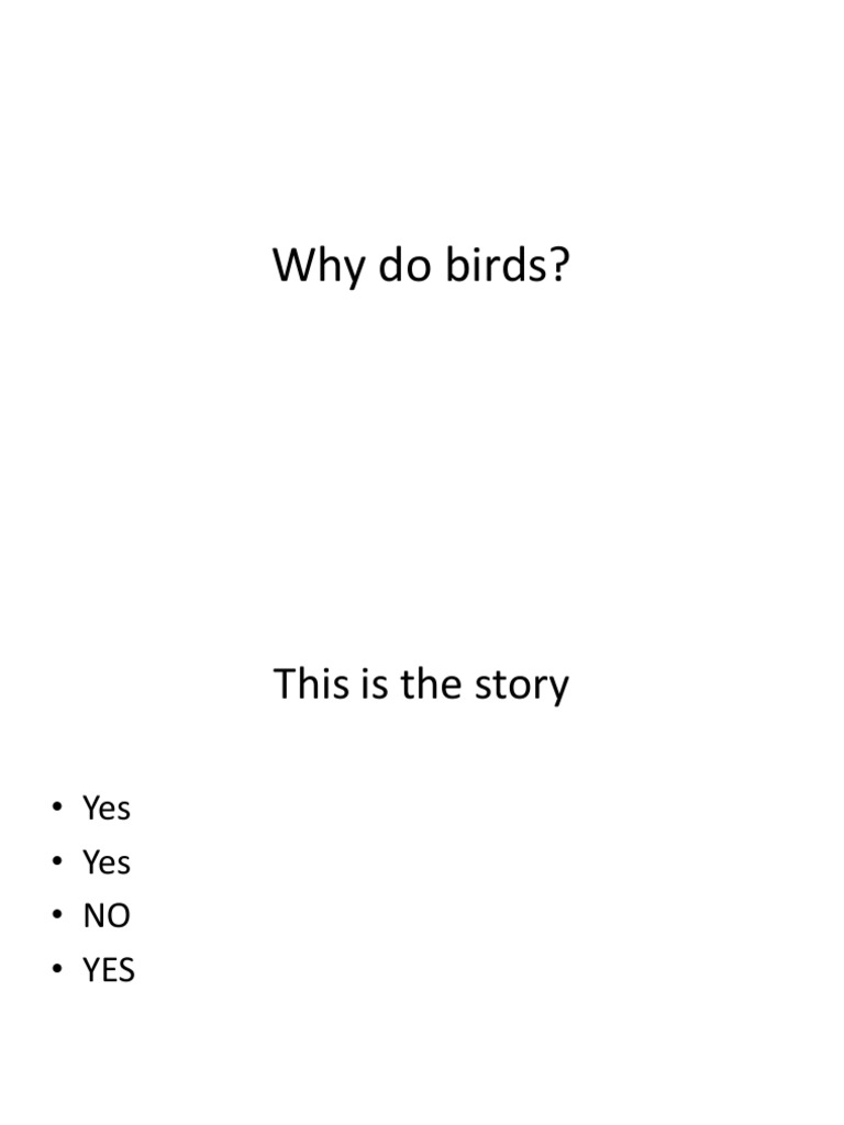 Bird Presentation | PDF