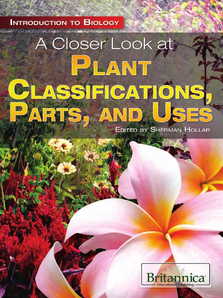 A Closer Look at Plant Classifications Parts and Uses | PDF | Tissue ...