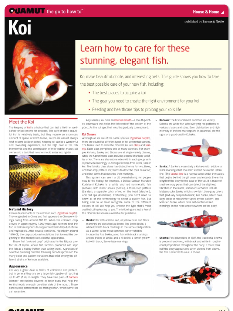 Koi | PDF | Nature