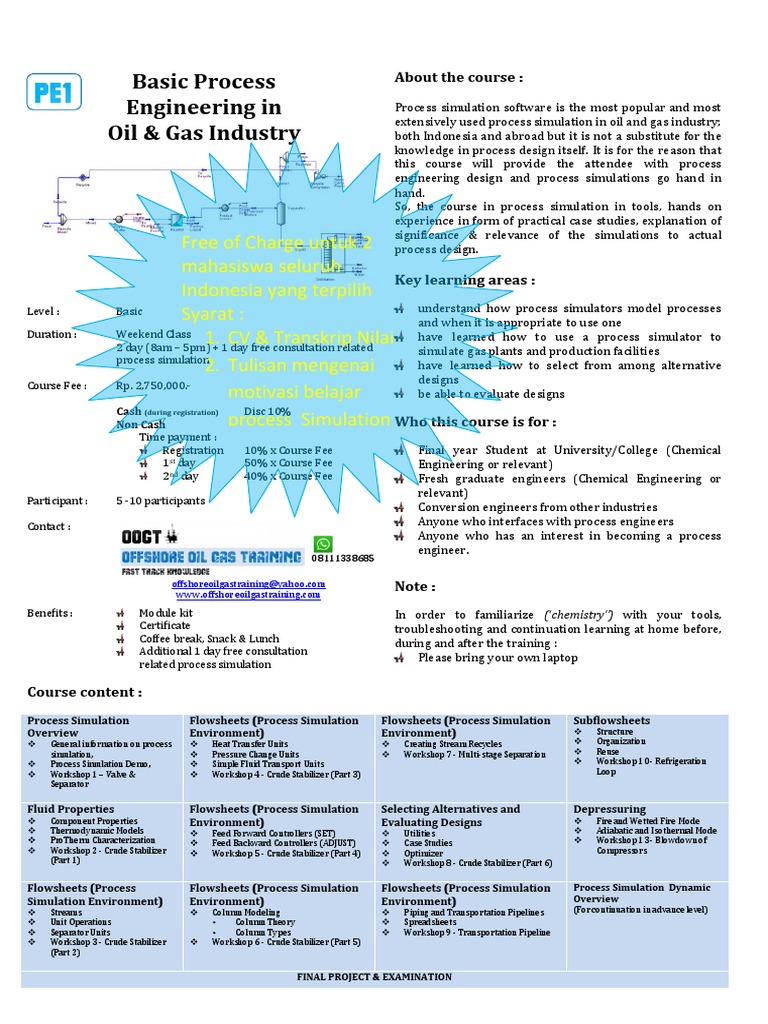 Process Engineering Brochure Batch 1 | Download Free PDF | Simulation ...