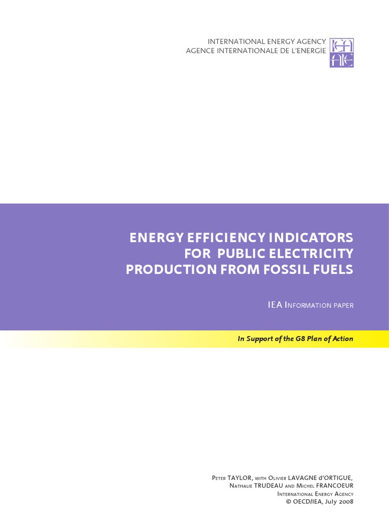 En Efficiency Indicators | PDF | Business