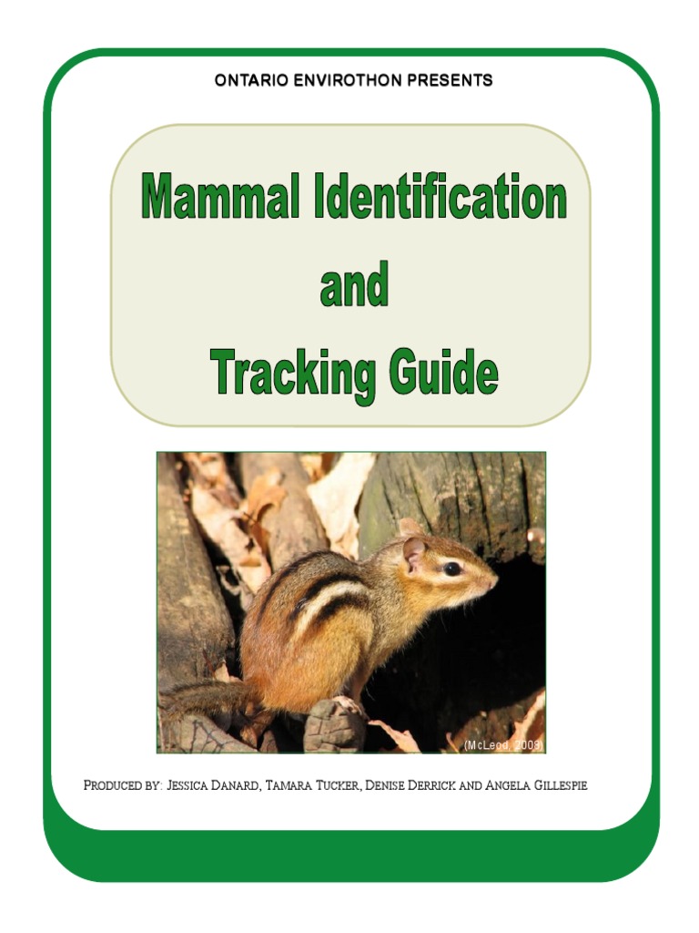 Ontario Mammal Tracking Guide | PDF | Mammals | Raccoon