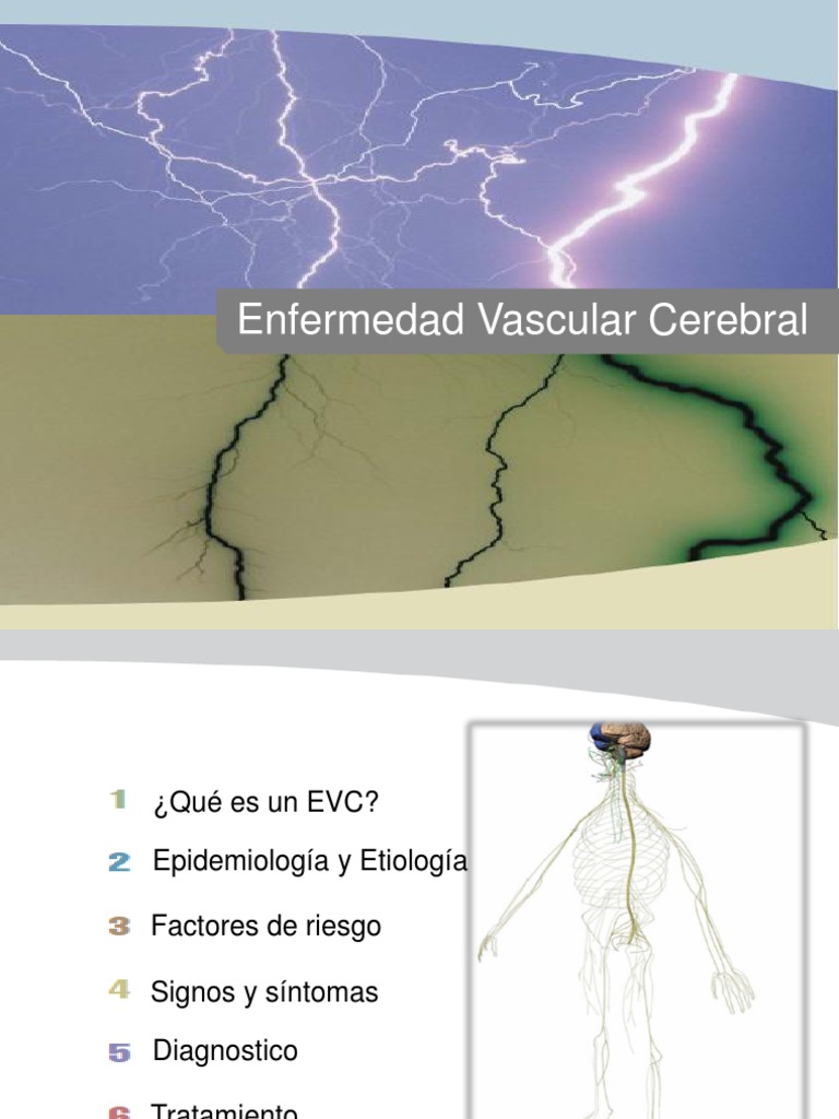 Presentación EVC | PDF | Ciencias de la Salud | Especialidades Medicas