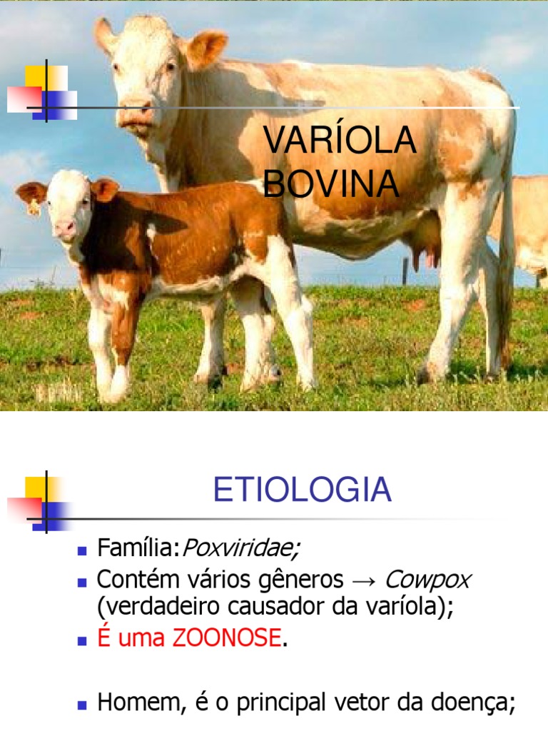 Varíola Bovina: Impactos e Tratamento | PDF | Leite | Varíola