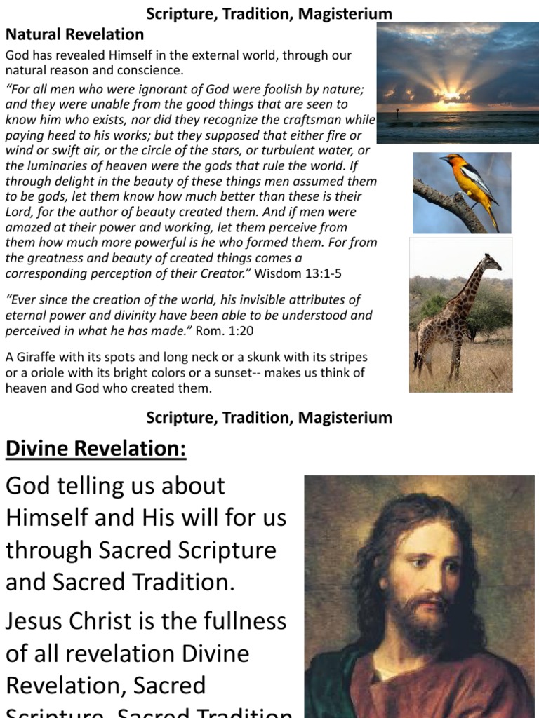 Scripture, Tradition, Magisterium | PDF | Sola Scriptura | Pope